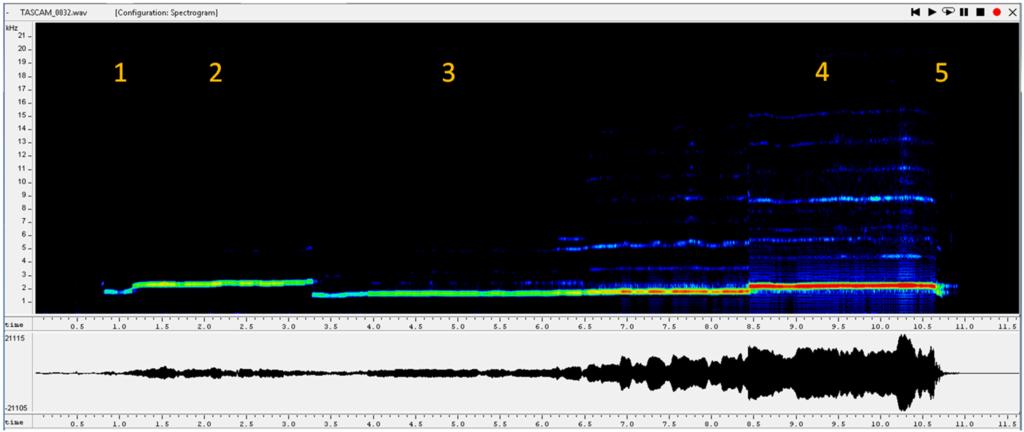 Acoustic Analysis – Precise Reliability